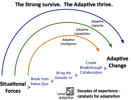 Adaptive Change | Level 5 Adaptive